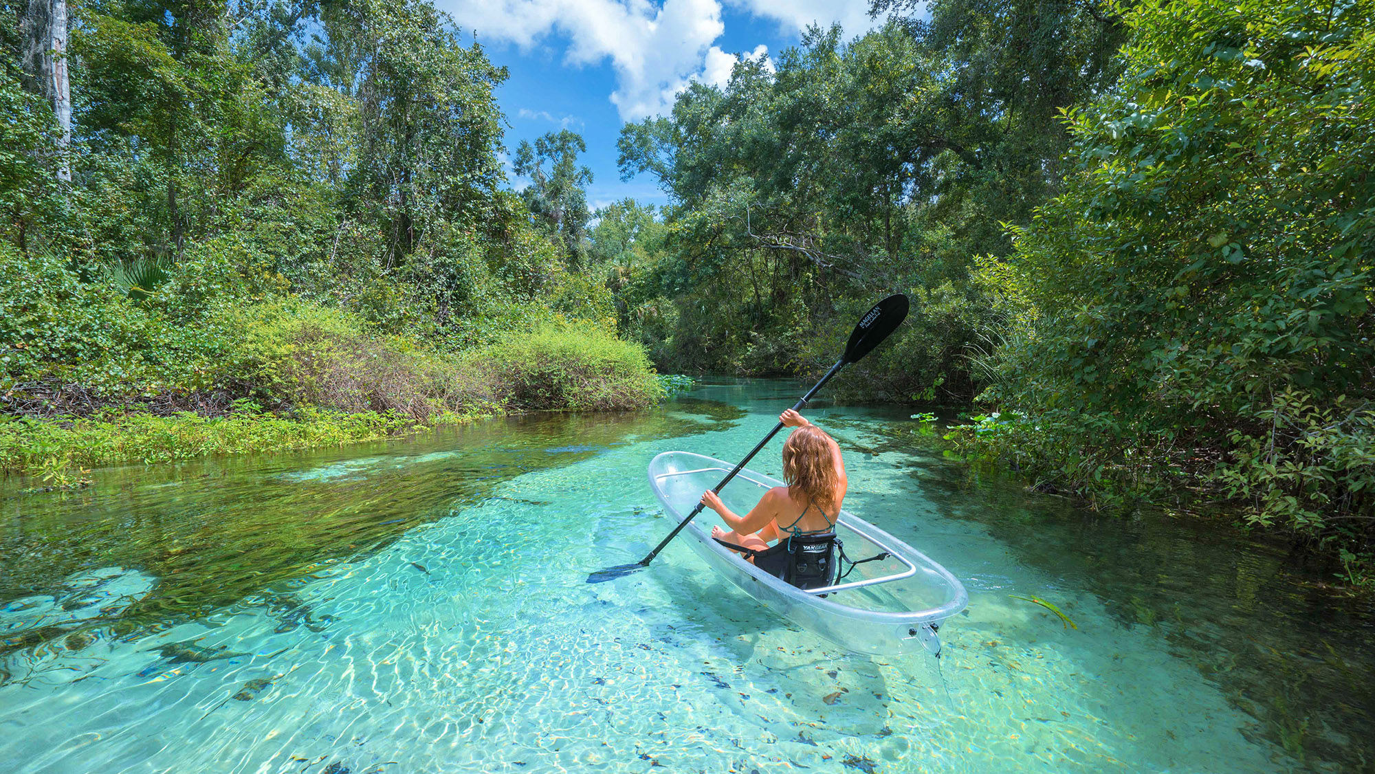 Orlando attractions extend beyond theme parks: Travel Weekly