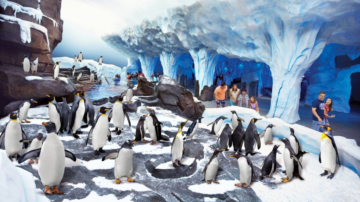 SeaWorld continues good run, but the CEO aspires for better: Travel Weekly