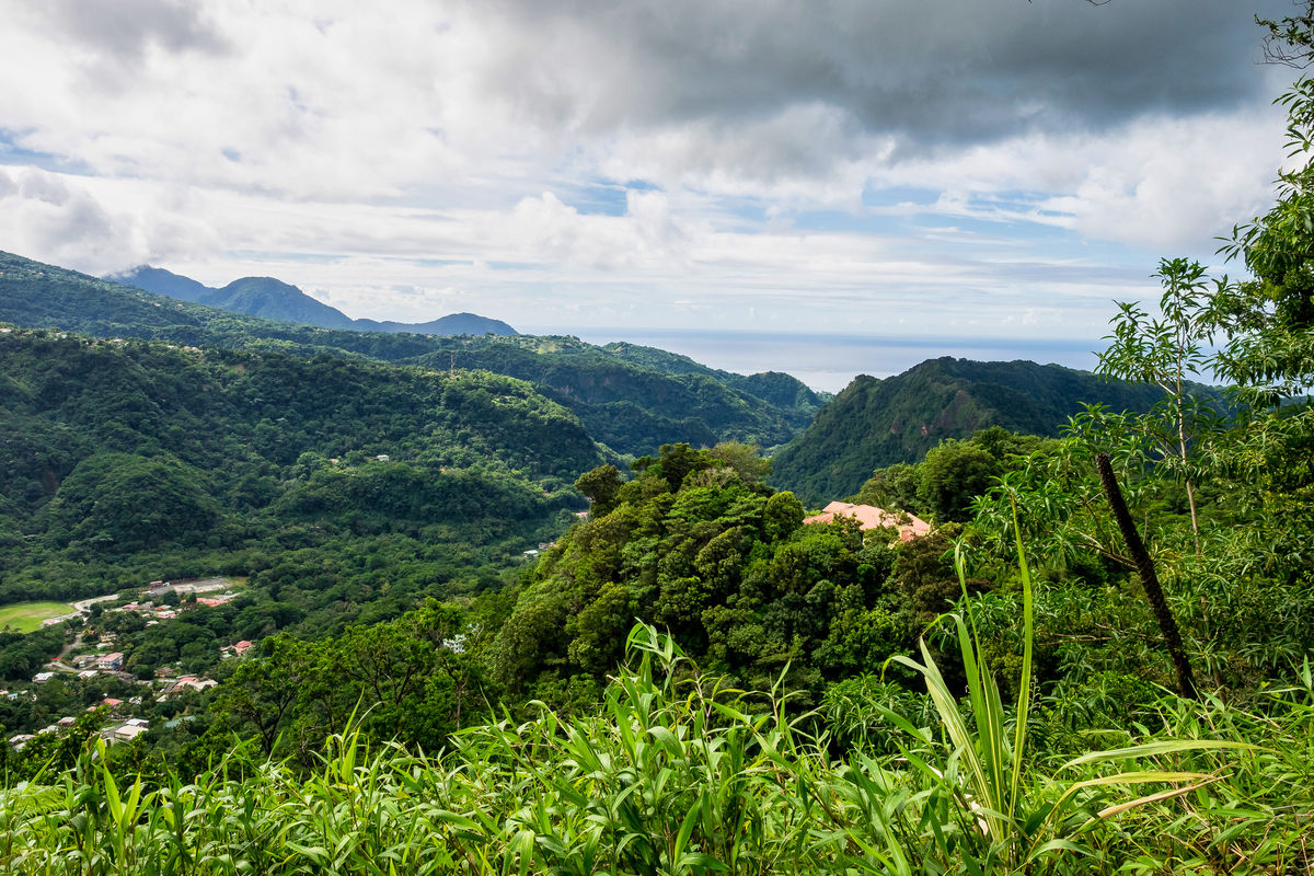 Find Morne Trois Pitons National Park, Dominica Hotels- Downtown Hotels ... Find Morne Trois Pitons National Park, Dominica Hotels- Downtown Hotels ...