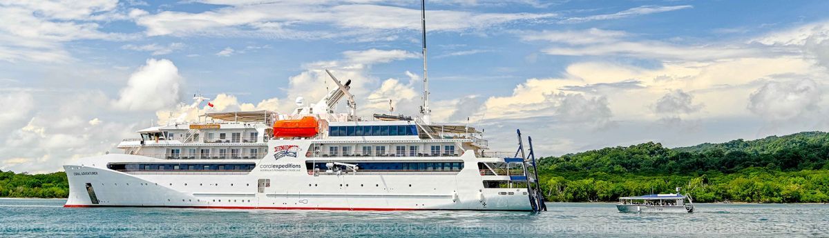 Coral Adventurer Ship Stats & Information- Coral Expeditions Coral ...