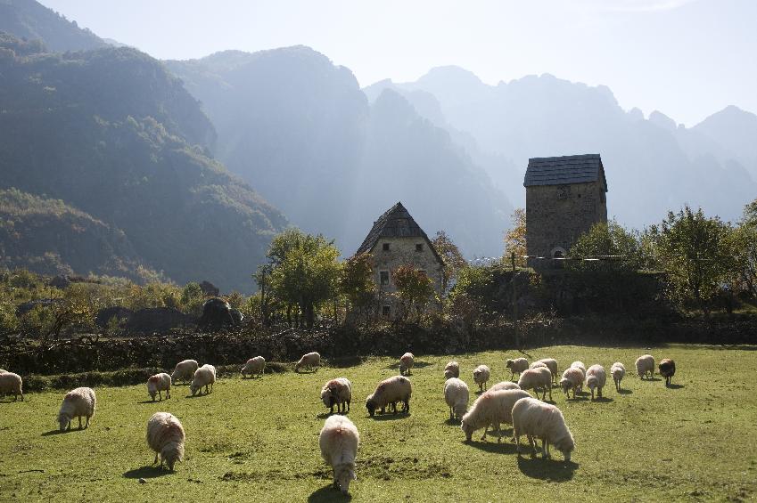 Find Airports Serving Peshkopi- Hotel Search by Hotel & Travel Index ...