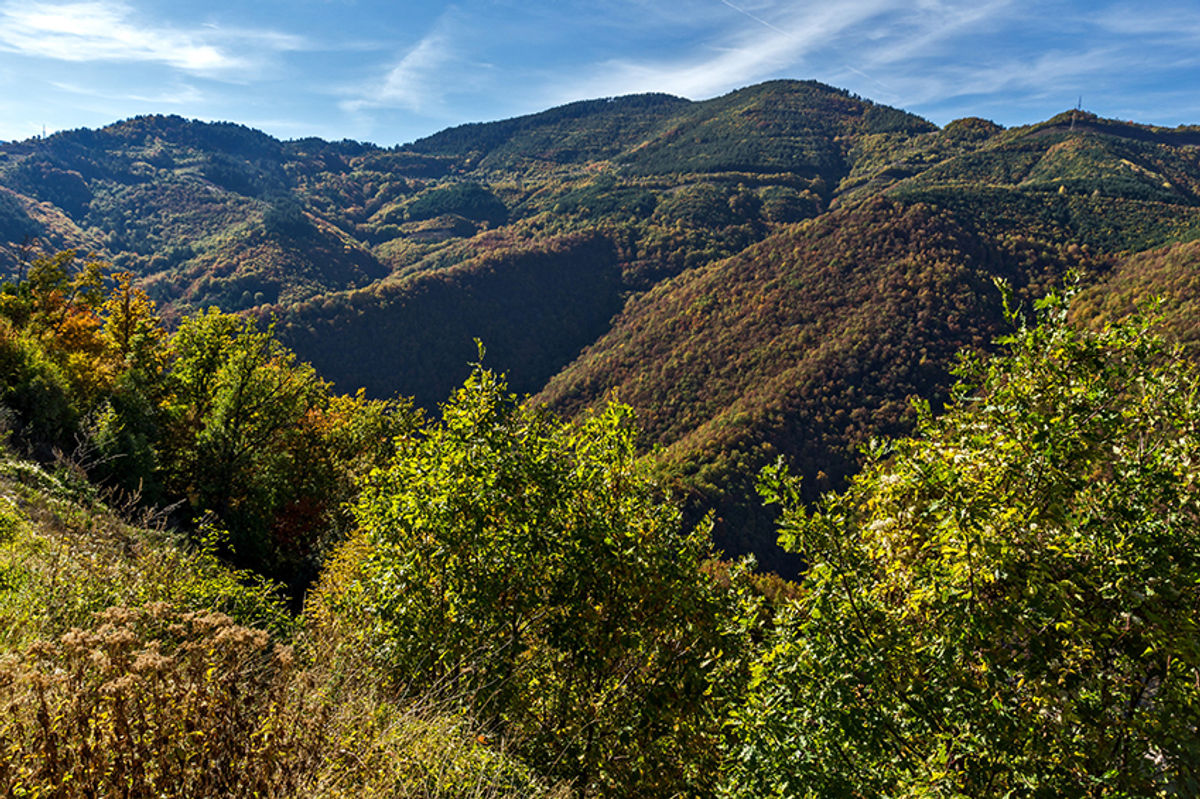 Find Smolyan, Bulgaria Hotels- Downtown Hotels in Smolyan | TravelAge West