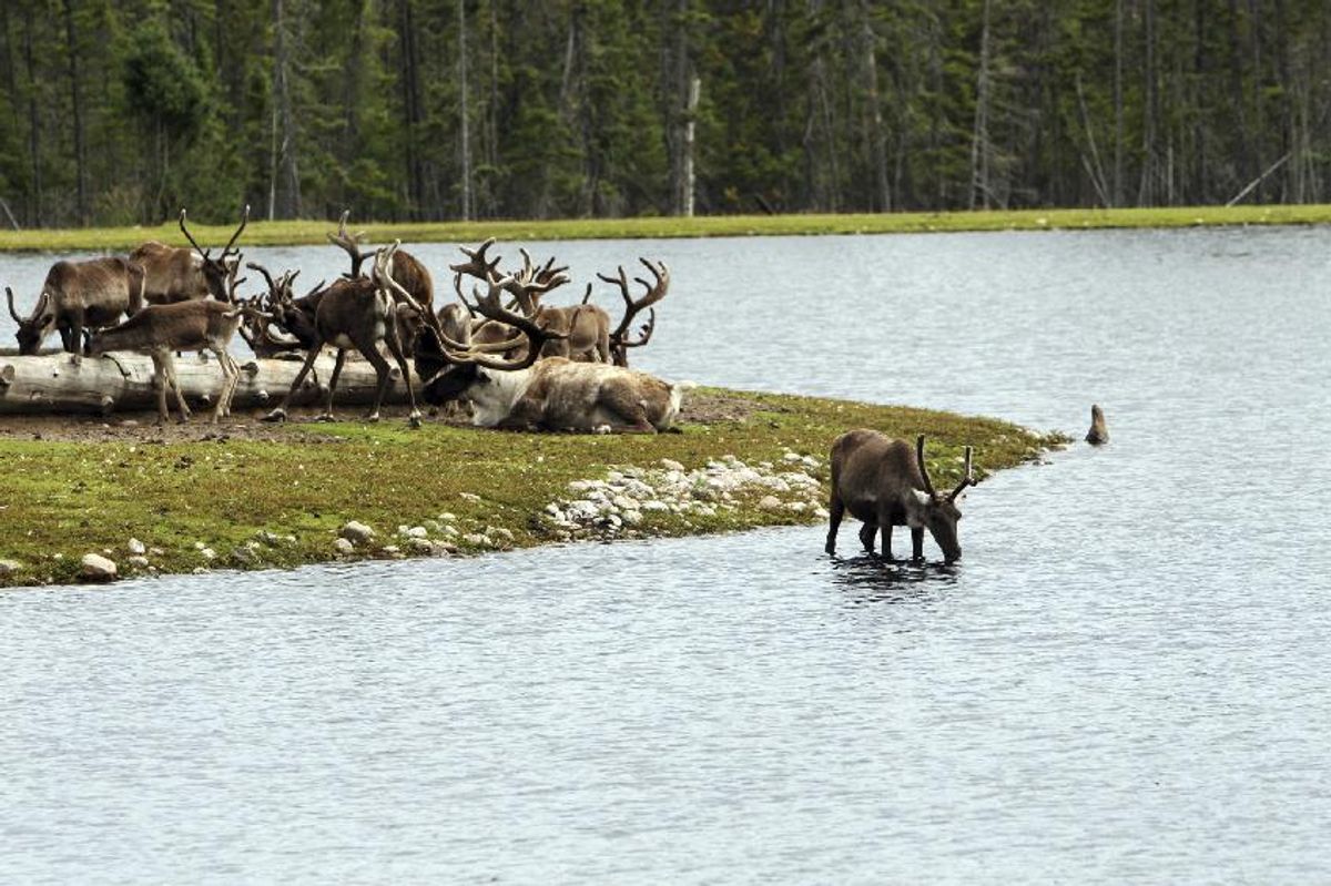 Find Trepassey, NF Hotels- Downtown Hotels in Trepassey- Hotel Search ...