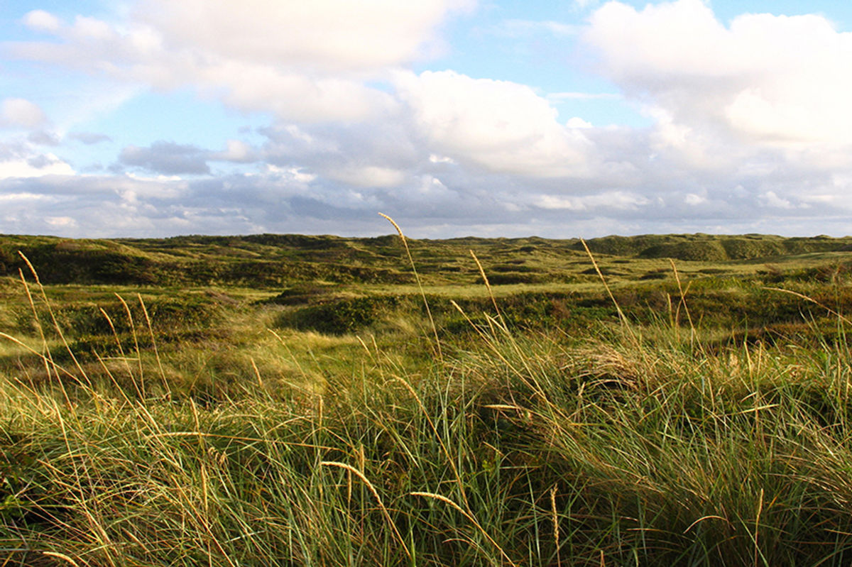 Find Thy National Park, Denmark Hotels- Downtown Hotels in Thy National ...