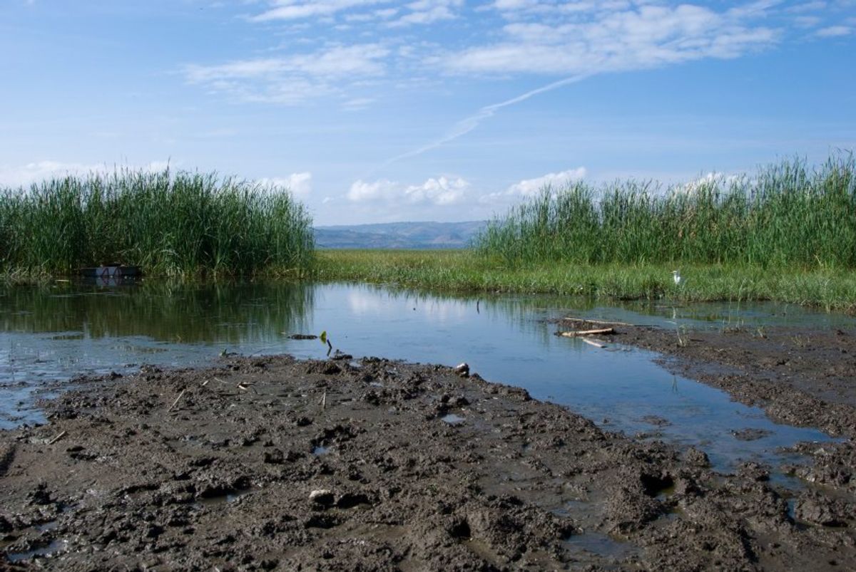 Find Rift Valley Lakes, Ethiopia Hotels- Downtown Hotels in Rift Valley ...