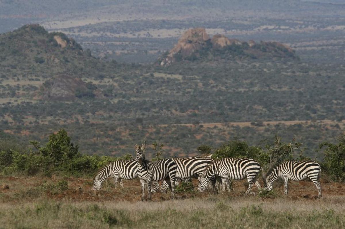 Find Laikipia Plateau, Kenya Hotels- Downtown Hotels in Laikipia ...