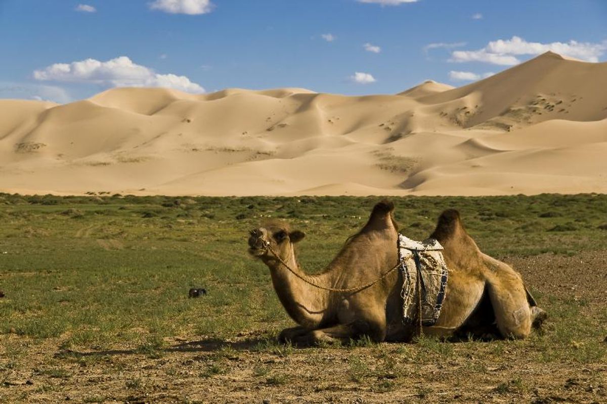 Find Saynshand, Mongolia Hotels- Downtown Hotels in Saynshand- Hotel ...