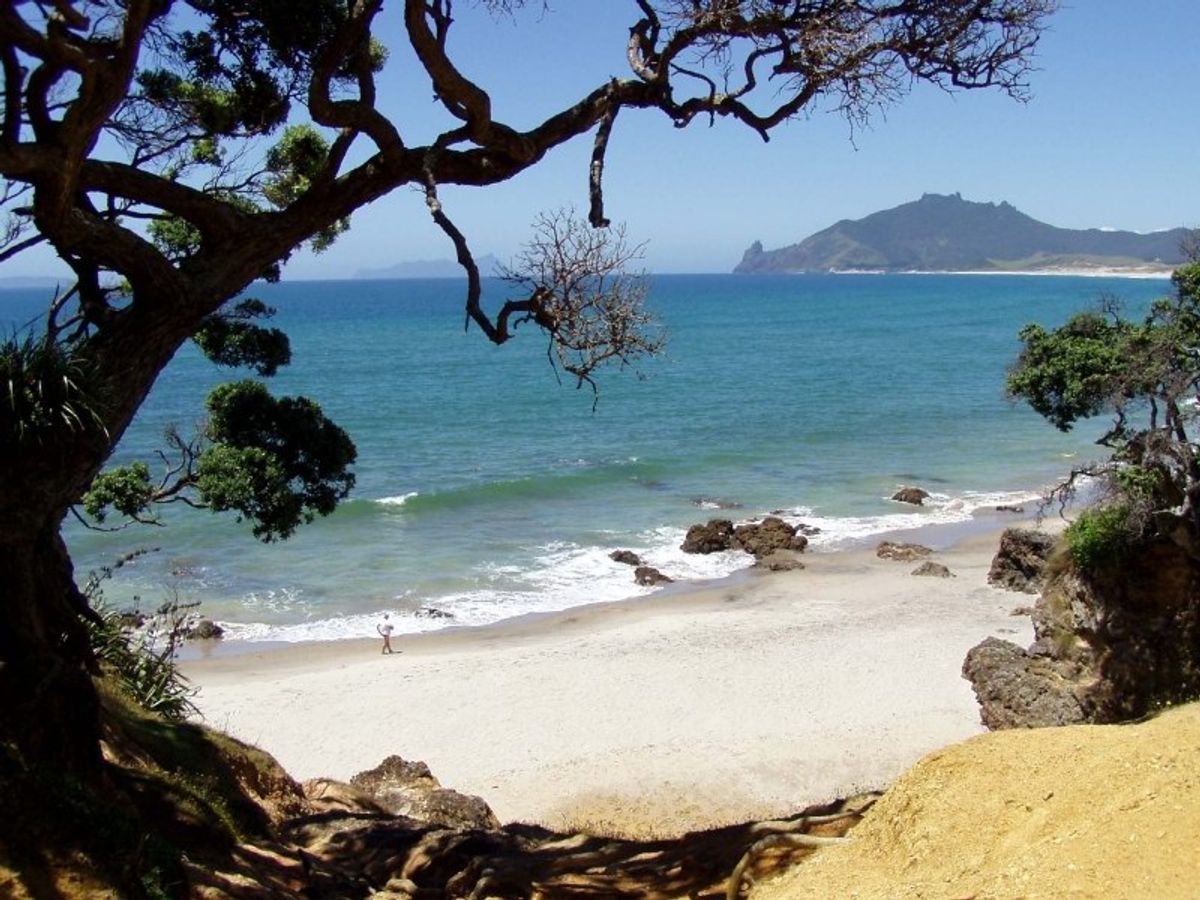 Find Whangarei, New Zealand Hotels- Downtown Hotels in Whangarei ...