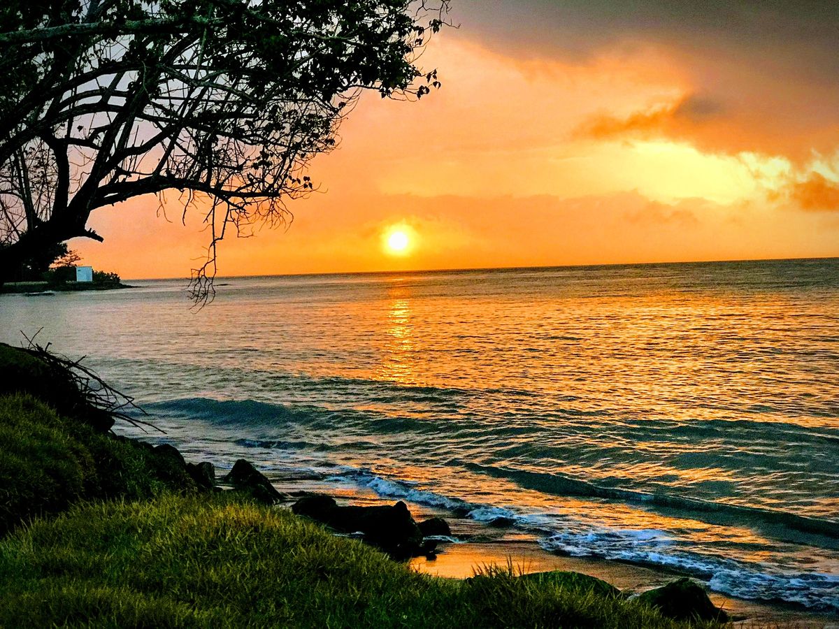 Find Mayaguez, Puerto Rico Hotels- Downtown Hotels in Mayaguez- Hotel ...