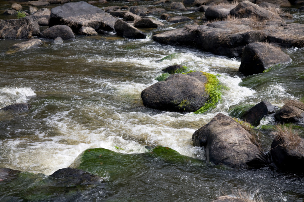 Raleighvallen (Raleigh Falls)/Voltzberg Reserve Event Space & Meeting ...