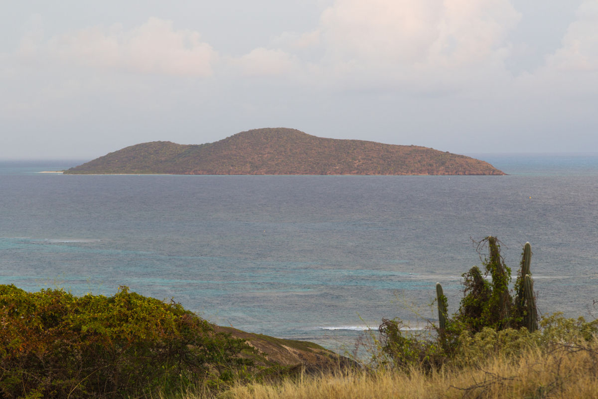 Find Buck Island, St Croix, US Virgin Islands Hotels- Downtown Hotels ...