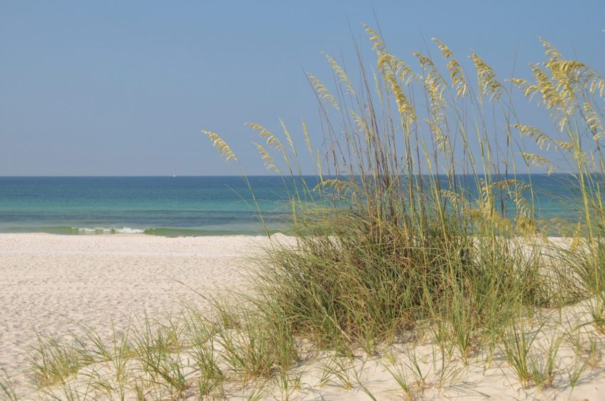 Find Old Felton, England Hotels- Downtown Hotels in Old Felton- Hotel ...