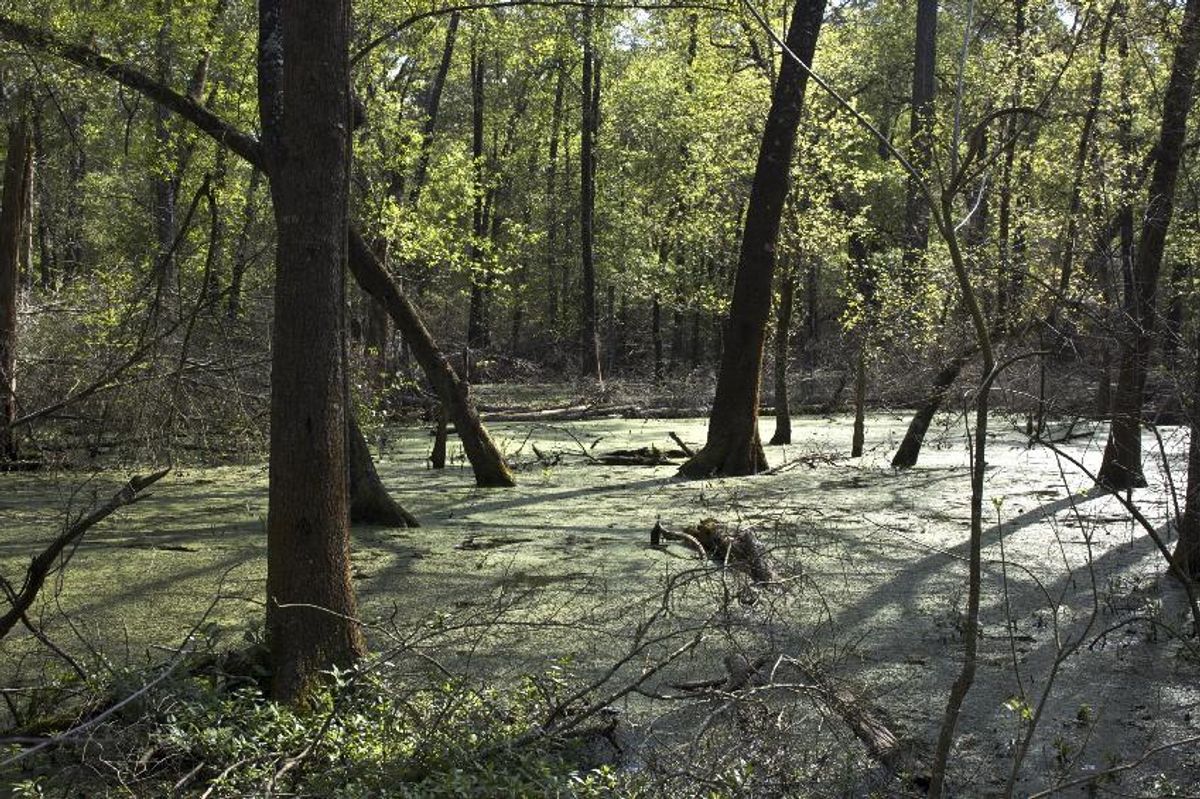 Find Big Thicket National Preserve, TX Hotels- Downtown Hotels in Big ...