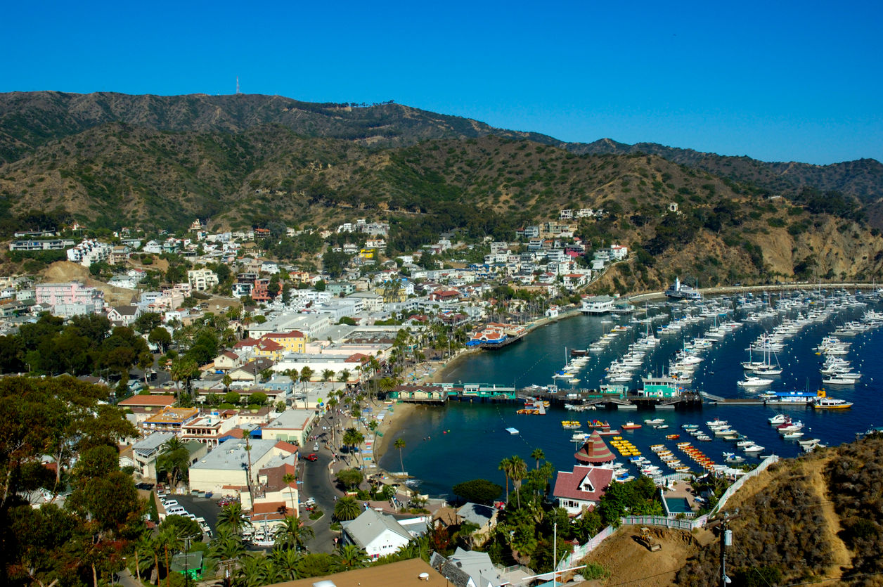 Find Catalina Island, CA Hotels- Downtown Hotels in Catalina Island ...