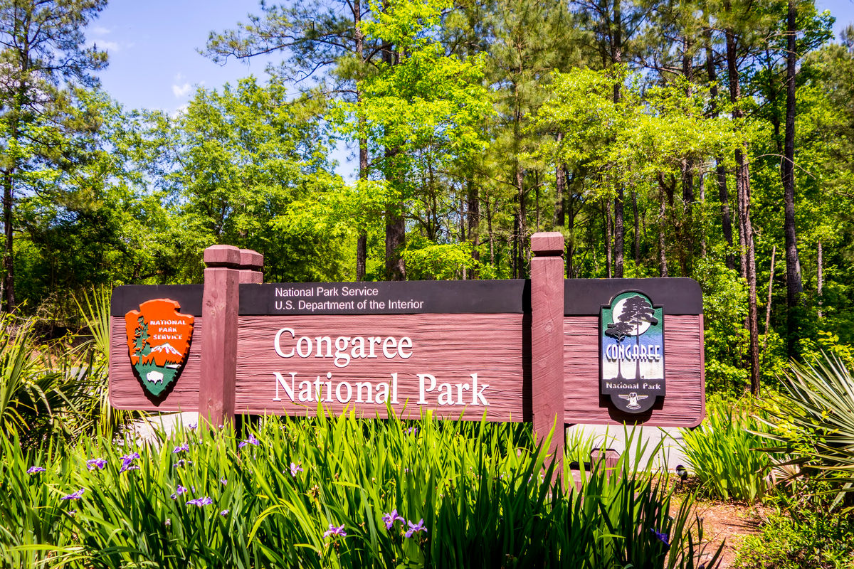 Find Congaree National Park, SC Hotels- Downtown Hotels in Congaree ...