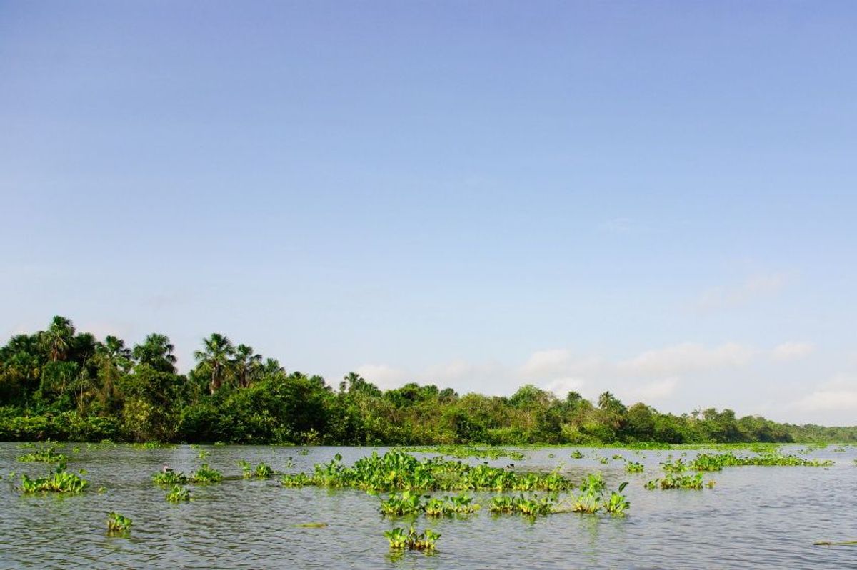 Find Orinoco River, Venezuela Hotels- Downtown Hotels in Orinoco River ...