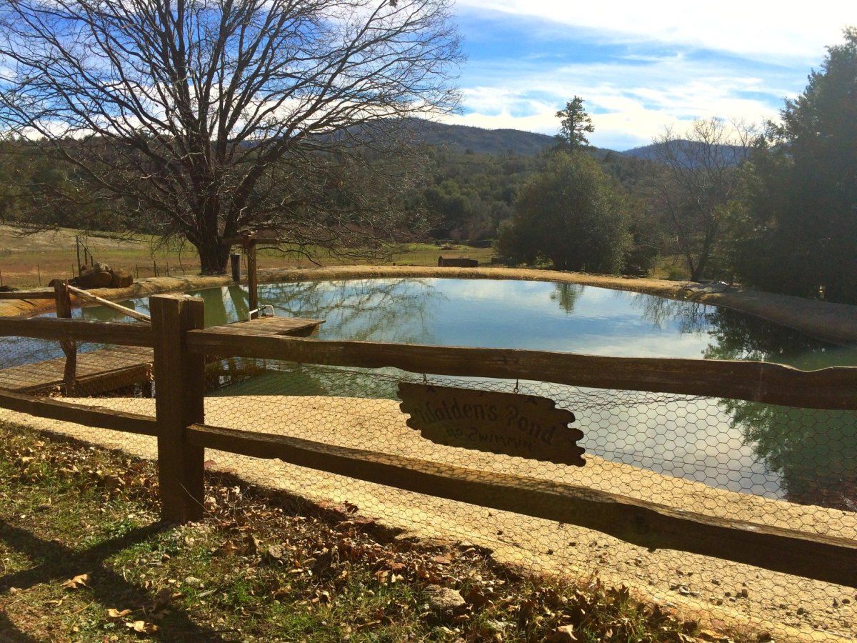 Shadow Mountain Ranch- Julian, CA Hotels- GDS Reservation Codes: Travel ...