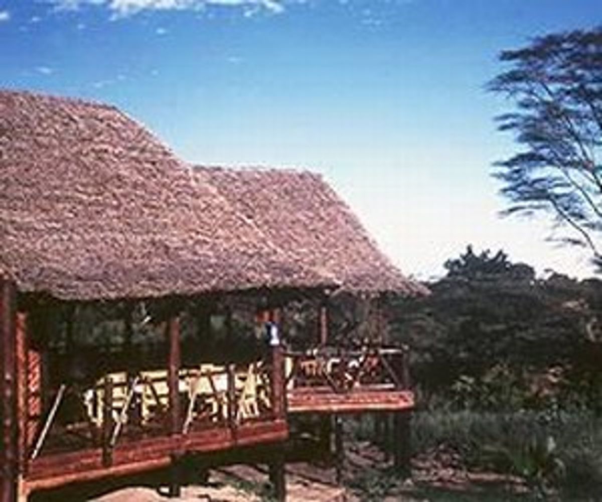 Mara Simba Lodge- First Class Masai Mara Game Reserve, Kenya Hotels ...