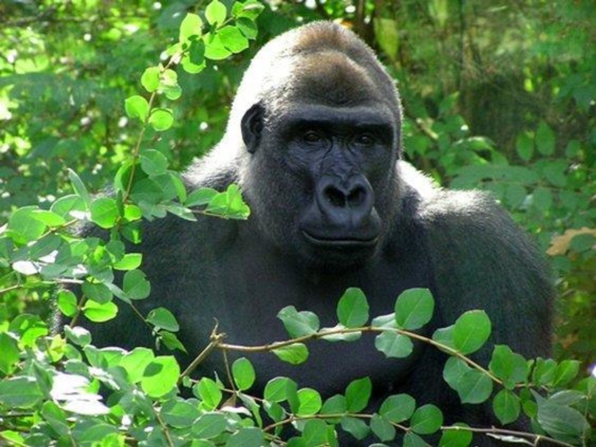 Hotel Topeka At City Center- Tourist Class Topeka, KS Hotels- GDS ...