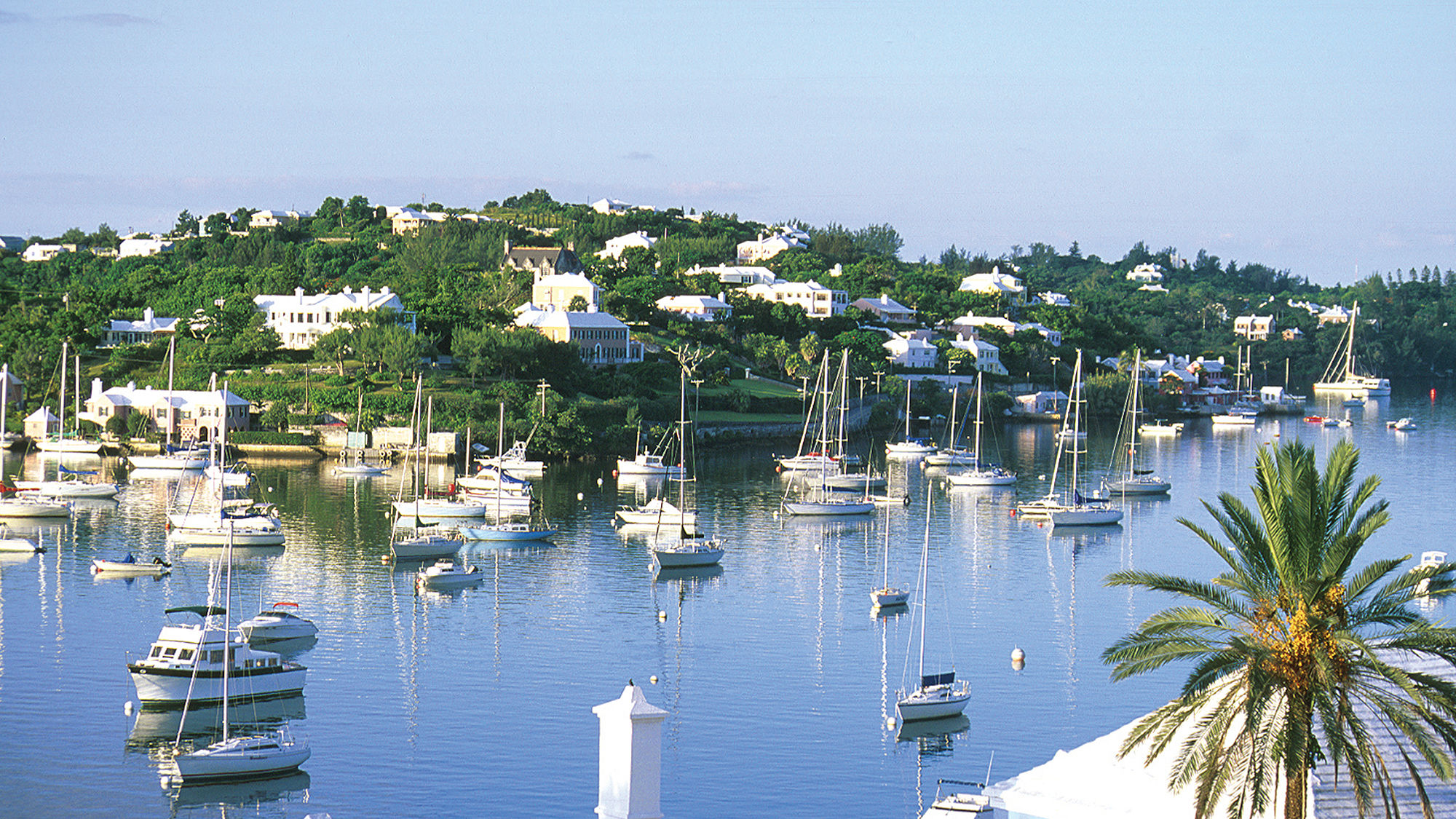 American Airlines adds Bermuda flight: Travel Weekly