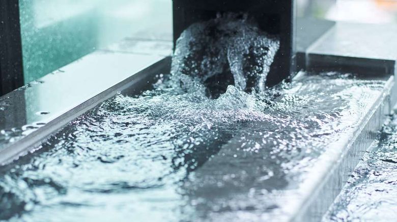 Fujisan Mishima Tokyu Hotel- Mishima, Japan Hotels- GDS Reservation ...