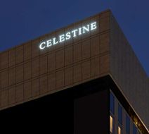 celestine ginza