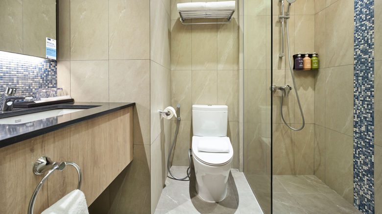 Holiday Inn Express & Suites Novena- Singapore, Singapore Hotels- GDS ...